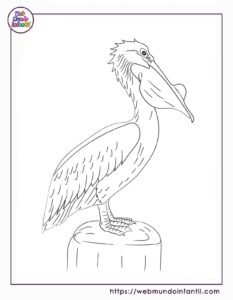 Dibujos de aves para colorear [Fichas para imprimir]