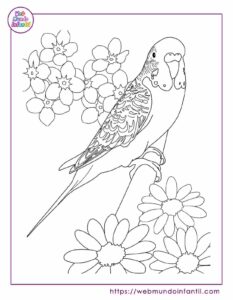 Dibujos de aves para colorear [Fichas para imprimir]