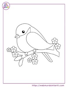 Dibujos de aves para colorear [Fichas para imprimir]