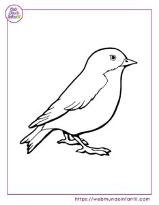Dibujos de aves para colorear [Fichas para imprimir]