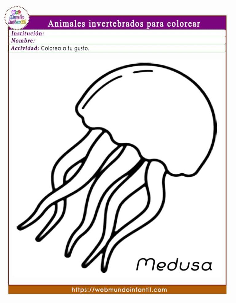 Dibujos De Animales Invertebrados Para Colorear E Imprimir