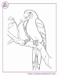 Dibujos de aves para colorear [Fichas para imprimir]